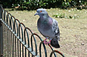 Freestyle Poem | Short Poems and Quotes | Marinela Reka